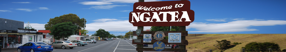 Ngatea - kds.co.nz